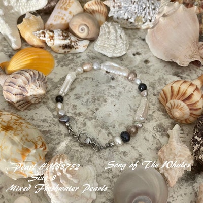 Spiny Jewel Box Sea Shells, Jewel Box Shells, Sanibel Sea Shells ...