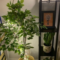 Folklore Coloured Fairy Lights Battery and Mains Fairylights Colourful ...