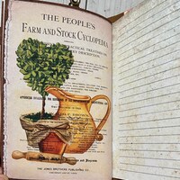 Skeleton Post Cards Printable Halloween Post Card Printable - Etsy Canada