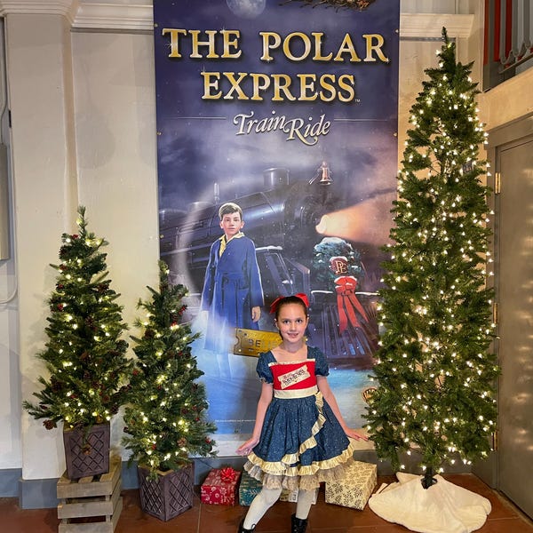 Polar Express Inspired Dress, Christmas Dress, Train Dress, Holiday ...