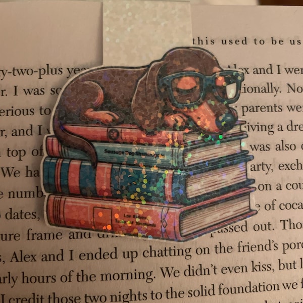 Whimsical Llama Magnetic Bookmark, Page Keeper, Handmade, 2 Side Clear ...