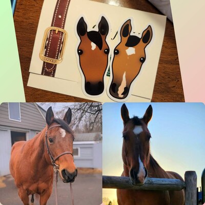 Custom Horse Sticker, Horse Stickers, Gift for Equestrian, Horse Gifts ...