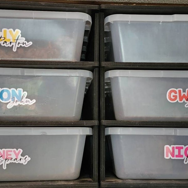 Waterproof Name Decal - Personalized Vinyl Sticker - FULL NAME STICKER ...