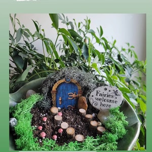 Miniature Hedges Your Color Choice - Etsy