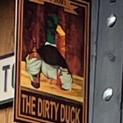 The Drunken Duck Personalised Swinging Custom Made Hanging Pub and Bar ...