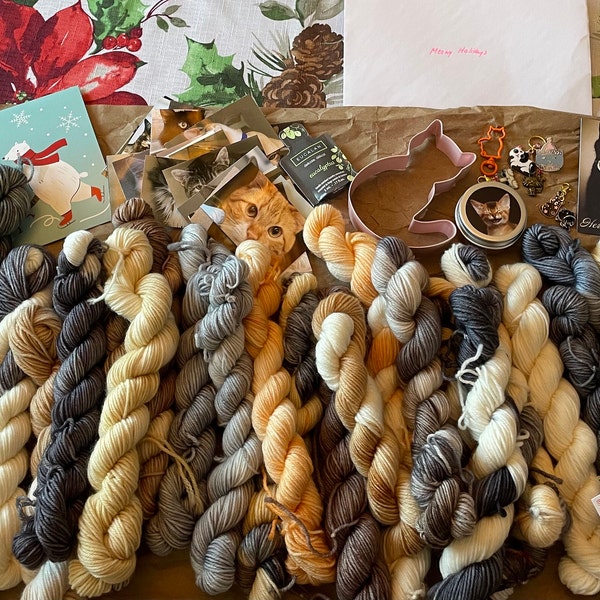 Toe Beans, Sock Club, 85/15 Superwash Merino/nylon Blend, 480 Meters ...