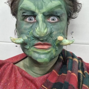 Shrek Full Face Prosthetic slip Latex - Etsy
