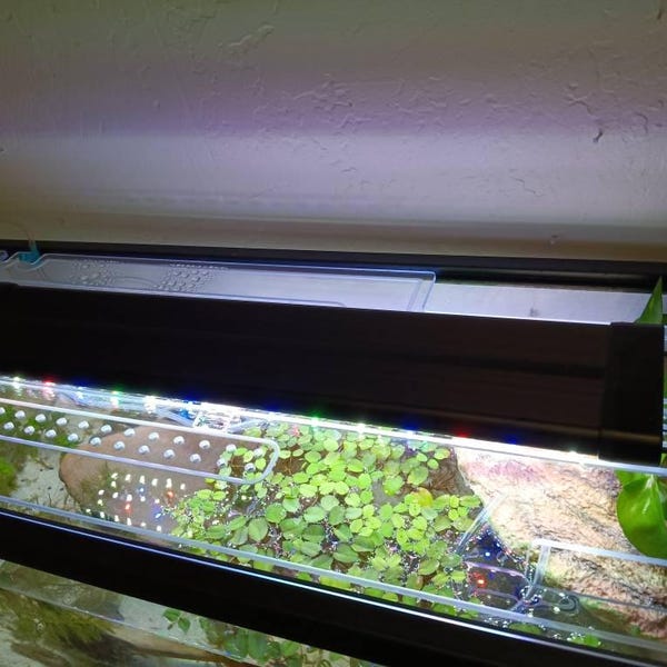 BEST Lid Props for Fluval Flex and Evo Lid Prop (SET OF 2) - Etsy