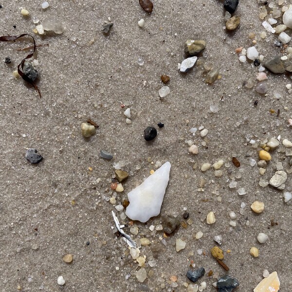 Shell Scoop, Rock Hunt Scoop, Shark Tooth Sifter, Sand Scoop, Rock ...