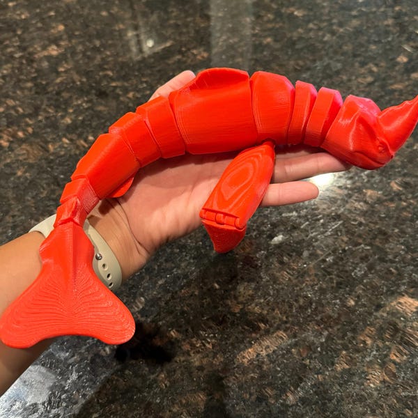 Articulated 3D Printed Charizard Fidget Toy - Etsy