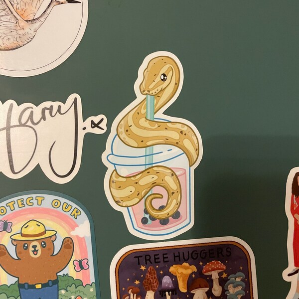 Boba Ball Python | Snake Sticker - Etsy