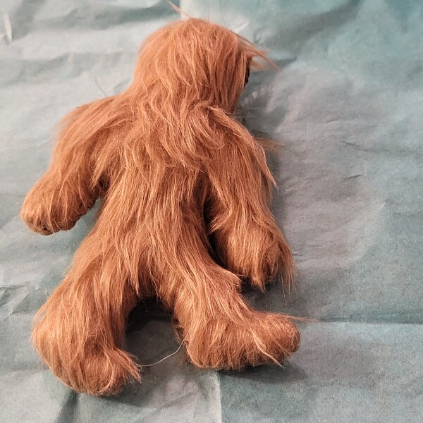 Buckeye Nuts 3/4 Lb 40 Large Size, Real Dried Buckeyes Harvested in ...