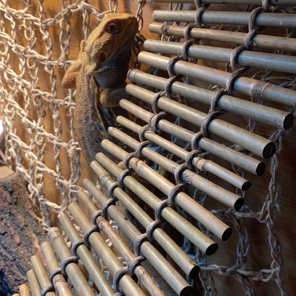 CLIMBING WALL for Reptiles - Etsy