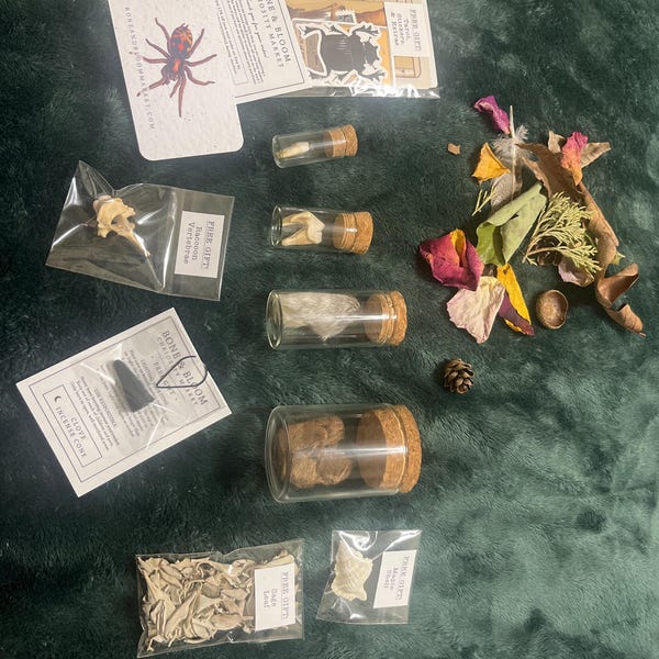 Real Moose Pellet in Glass Vial, Moose Poop, Animal Dung, Weird Gift ...