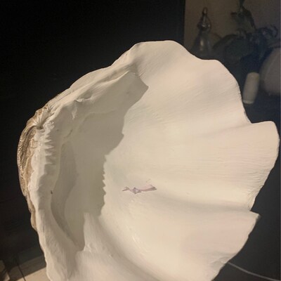 SPECIAL PRICE Ruffled Giant Clam , Birthday Day Gift, Faux , Matte ...