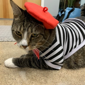 Complete French Cat Outfit Cat Beret Ascot and Striped Shirt | Etsy