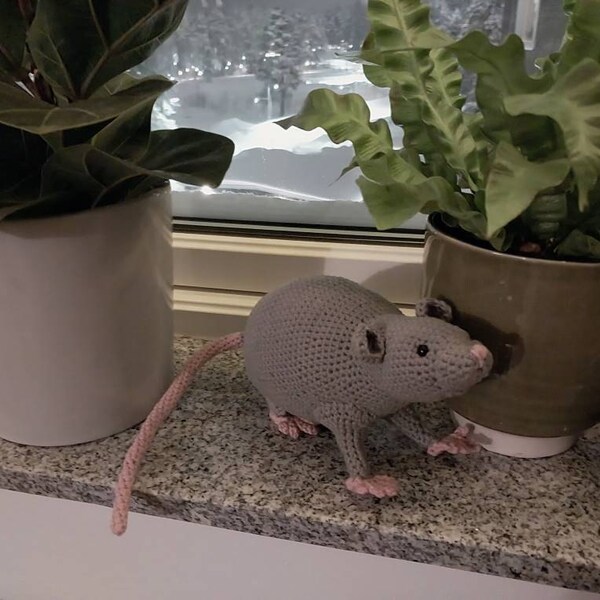 Digital Crochet Pattern Realistic Rat - Etsy