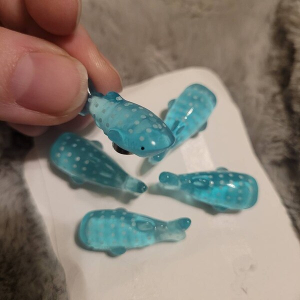 Sting Ray Magnet Set, Quirky Magents, Refrigerator Magnets, Funky ...