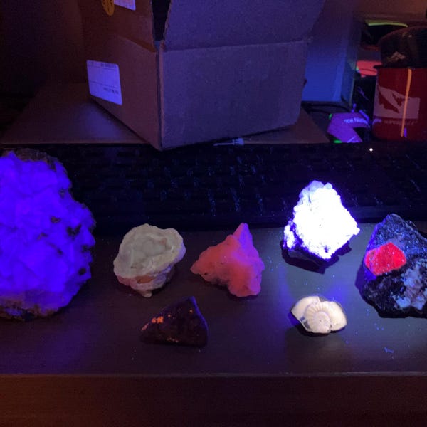 Periodic Table of Elements 83 Real Element Display for Educator ...