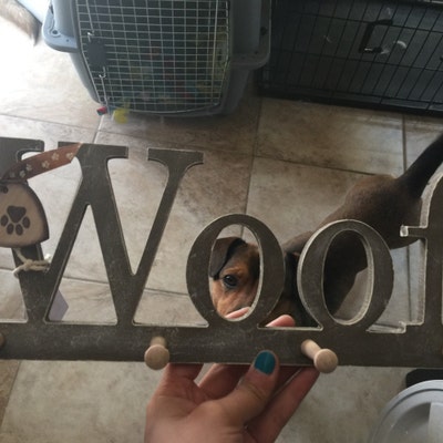 Dog Lead Hanger WOOF, Handmade, Shabby Chic, Gorgeous - Etsy