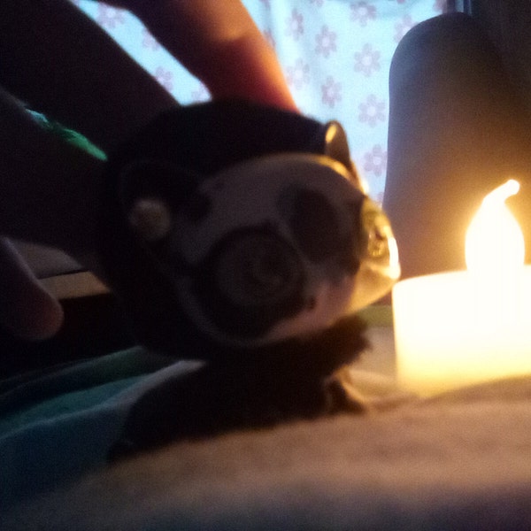 LPS Littlest Pet Shop Custom OOAK Emo Scene Punk Otter - Etsy