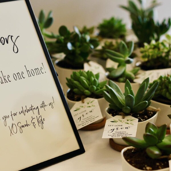 Let Love Grow Succulent Favor Tags Bridal Shower Editable Template ...
