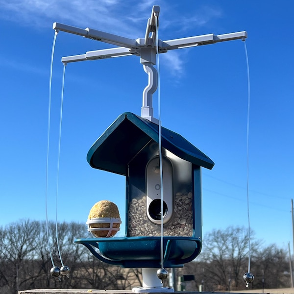 Protect Your Bluebird House From House Sparrows! Model SBG-BBHF for ...