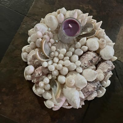 EMMA SEASHELL MIRROR Natural Sea Shell Mirror Adorned With White and ...
