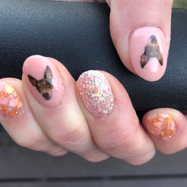 Summer Matte Flavors- Nail Dip Powder, Acrylic Dip Powder, Dipping ...