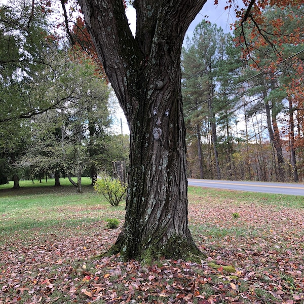 The ORIGINAL & GENUINE Mr. Grumpy Stump Tree Face Gift for Dad Fun ...