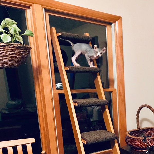 Cat Ladder - 7 Step Pine, Customizable | Movable Cat Perch – Always ...