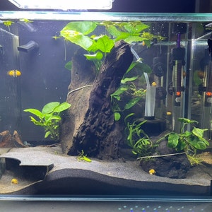 Corner Rocky Grotto Create an Adventure Zone for Your Fish, Shrimp ...