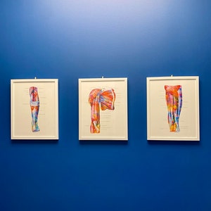 40 Musculoskeletal Anatomy Posters Human Body Anatomy | Etsy