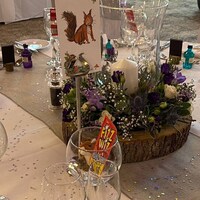 Illustrated Woodland Animal Table Numbers - Etsy UK