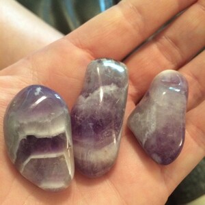 Fossilized SHELL JASPER Tumbled Stones Healing Crystal and Stone Aka ...