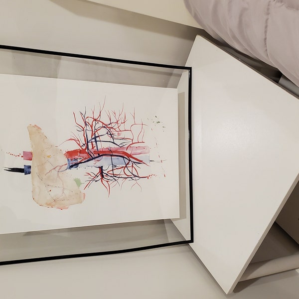 Skin, Histology Art, Dermatologist Gift, Pathology Art, Pathologist ...