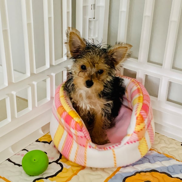 Cuddle Cup W/pee Pad | Customizable | 10"x5" - Etsy