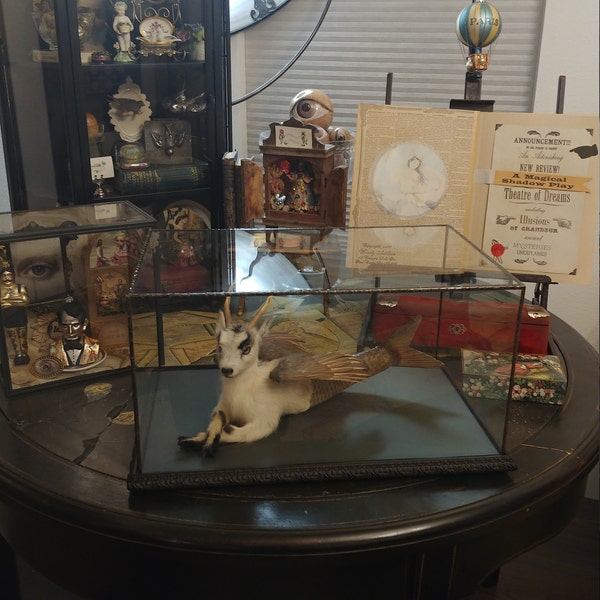 5x5x5 Case 5 Sided Glass Display Case (open on Bottom) With Wood Base ...