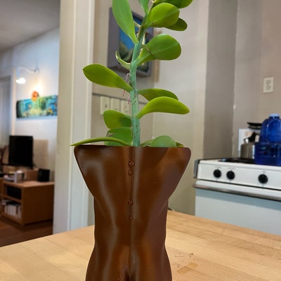 Set of 4 Torso Planters, Indoor Planter Set, Plant Lover Gift, Female ...