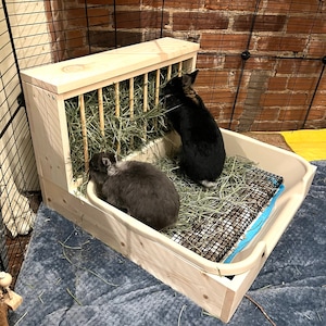 Large EZ Entry 2.0 Hop Box: Rabbit Bunny Easy Entry Hay Feeder and ...