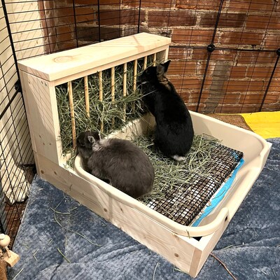 Large EZ Entry 2.0 Hop Box: Rabbit Bunny Easy Entry Hay Feeder and ...