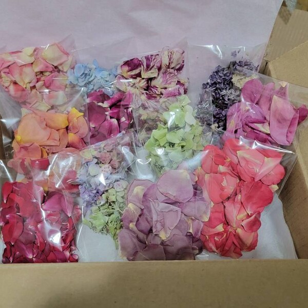 One Cup Petal Sample...choose YOUR Color! FREE USA Shipping! Wedding ...