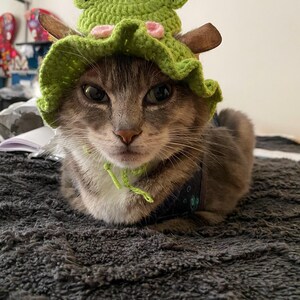 Adjustable Cute Crochet Soft Ribbon Kitten Collar Pet Costume Cat ...