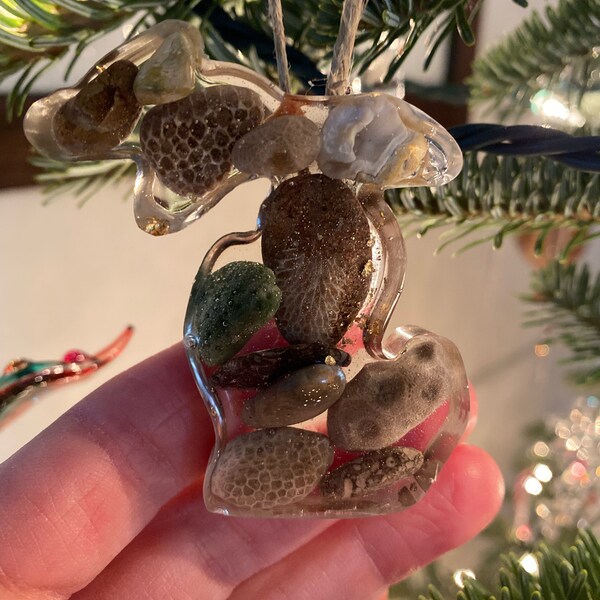 Michigan Stone Magnets| Lake MI Shoreline Petoskey Stone Magnet | Lake ...