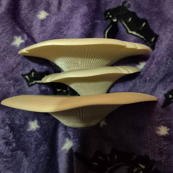 Mushroom Ledge Reptile Platform, Vivarium Decor, Gift for Crested Gecko ...