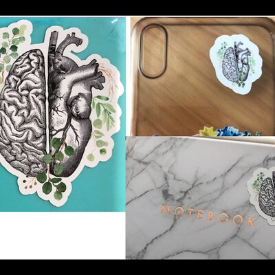 Head and Heart,human Anatomy Brain and Heart,vinyl Stickers,science ...