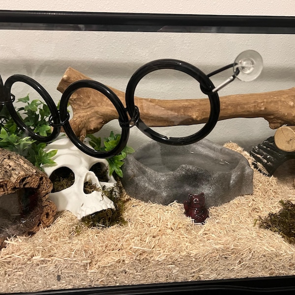 Skull Reptile Hide - Arachnid Hide - Lizard, Spider, Turtle House ...