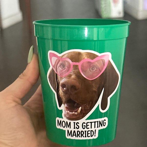 Bridal Wedding Veil Last Rodeo Bachelorette Bridal Shower Gift ...