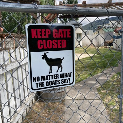 Honey Dew Gifts Dog Poop Signs for Yard If Your Dog Poops - Etsy