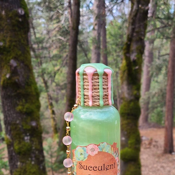 FULL SET MINI Magical Potions | Magical Apothecary Potion Bottle ...